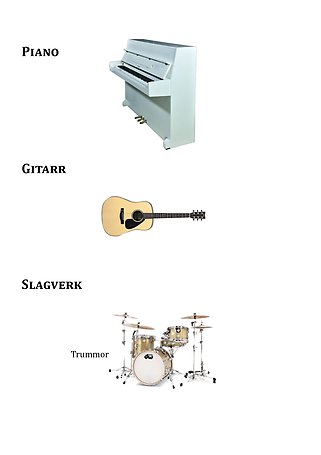 Instrument du kan välja | Gnosjö kommun